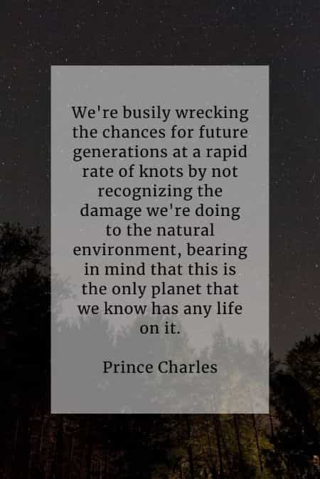35 Environment quotes that'll influence protecting the earth