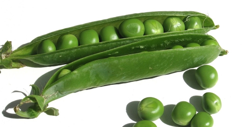 L'Hort a l'Escola: EL PÈSOL