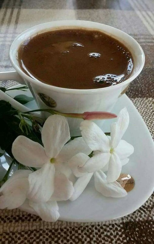 LE COQ PICORE: J'ADORE LE CHOCOLAT