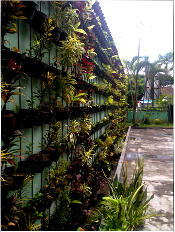 SISTEM PERKEMBANGBIAKAN TUMBUHAN DAN HEWAN