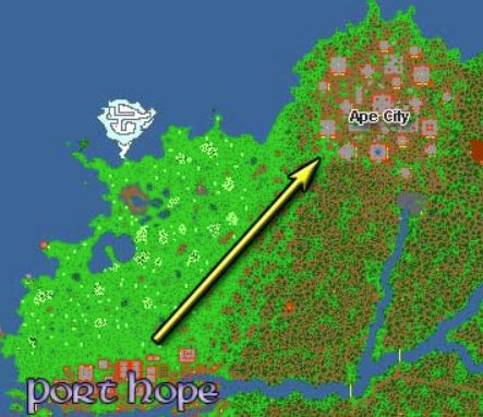 Poradnik zarabiania - The Ape City, Banuta - Tibia ~ Tibio-Maniak