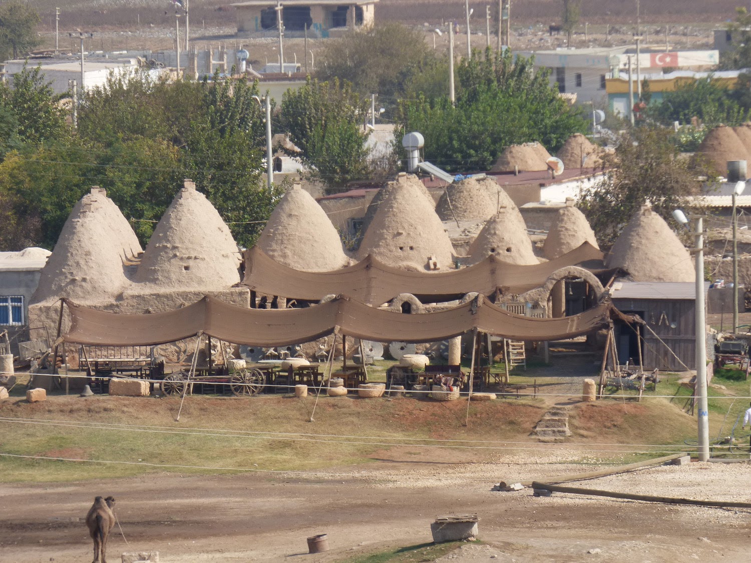 Footloose with Diana: Harran