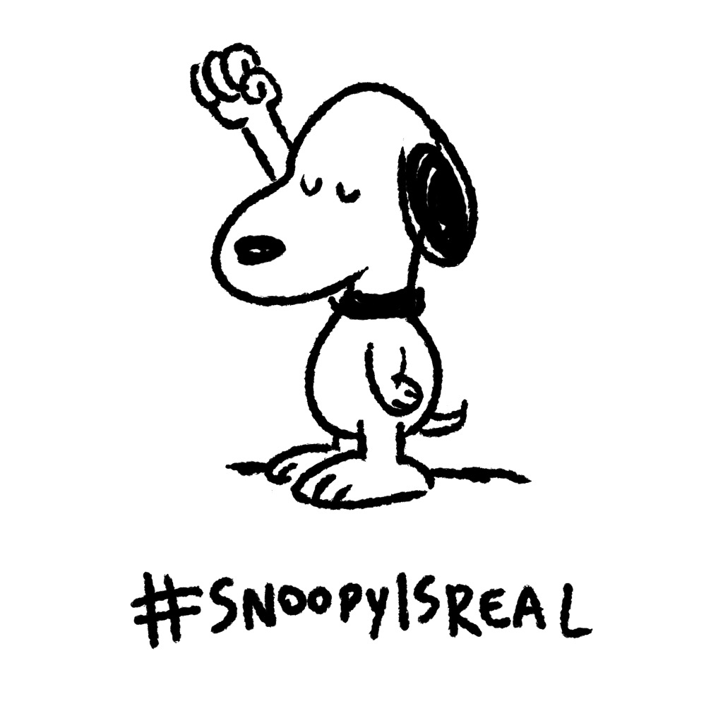 David Kantrowitz - Art Blog: Snoopy Debate