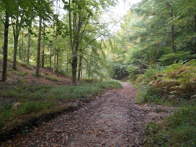 Off the Beaten Track in Somerset: Goblin Combe