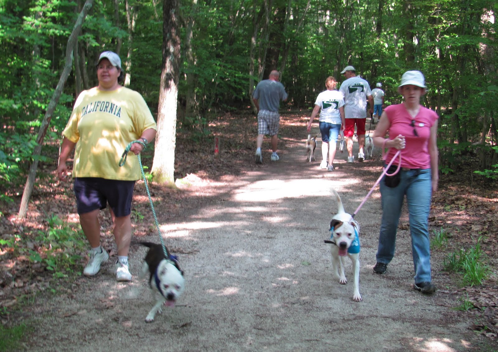 Friends of the Burlington County Animal Shelter --- (New Site ...