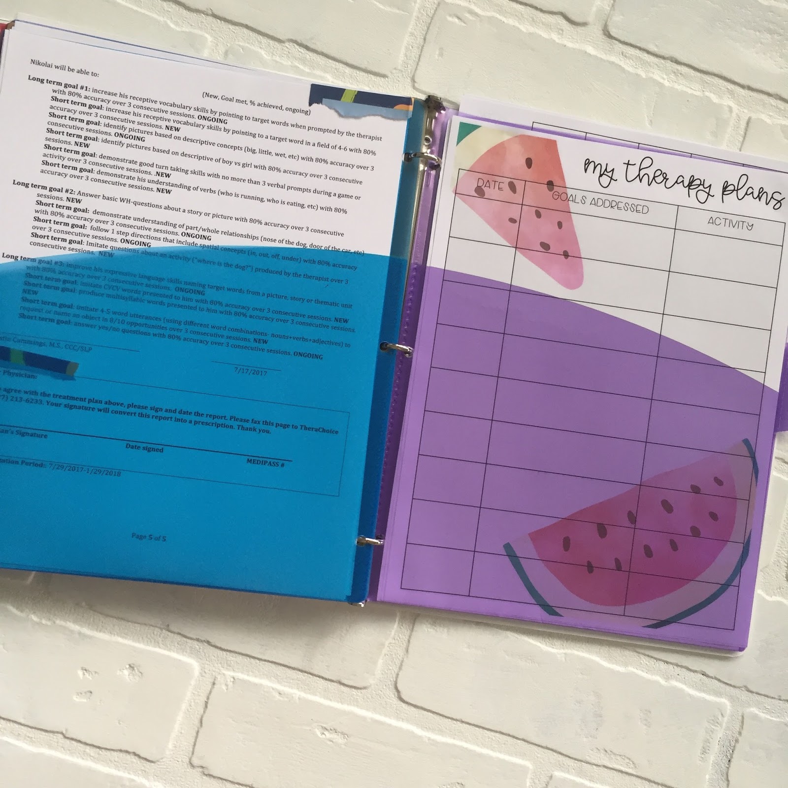 A Peek Inside my Therapy Binder! | Simply Speech