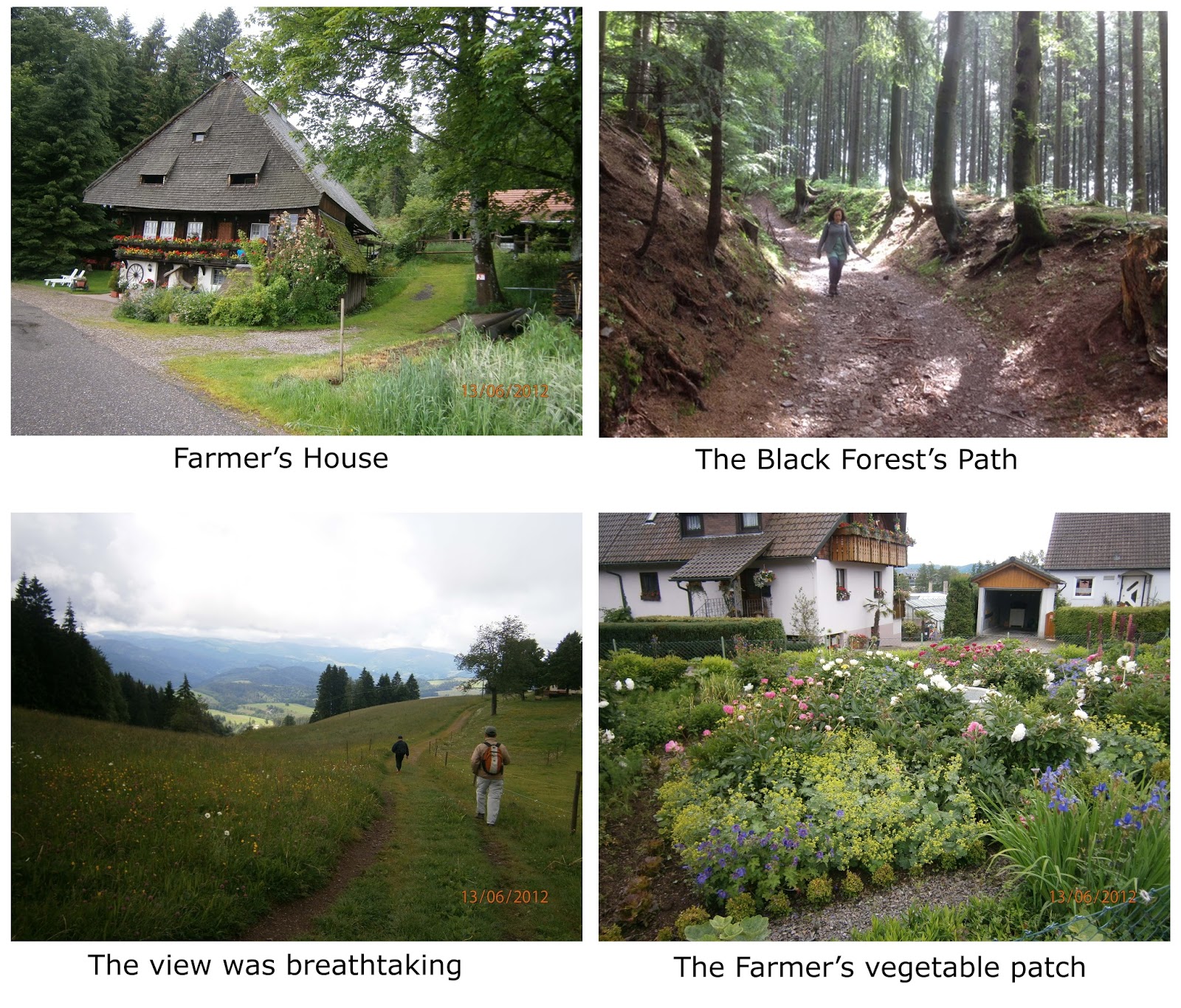 Seenfully Sedap: Cuckoo Clock Cake - Chocolate Walnut Brownie