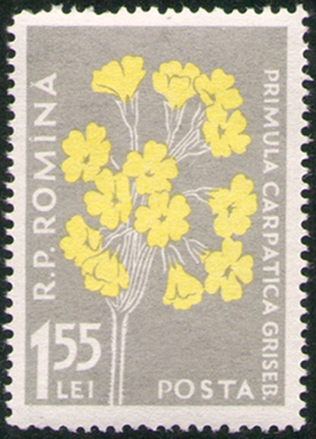 Timbre filatelice: Timbre filatelice cu flori din muntii Carpati