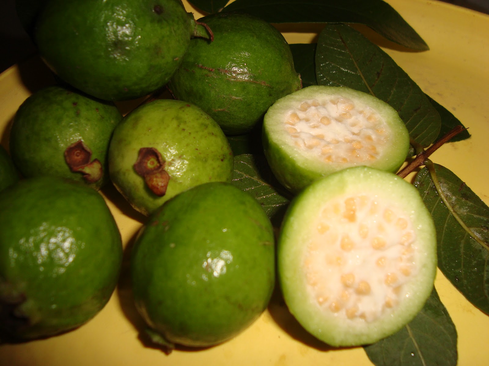 Living with Nature - School on Blog by Dr. Abercio V. Rotor: Native Guava