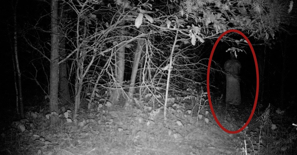 Fascinating Discovery Of Ghost Particle Heralds A New Era In Astronomy ...