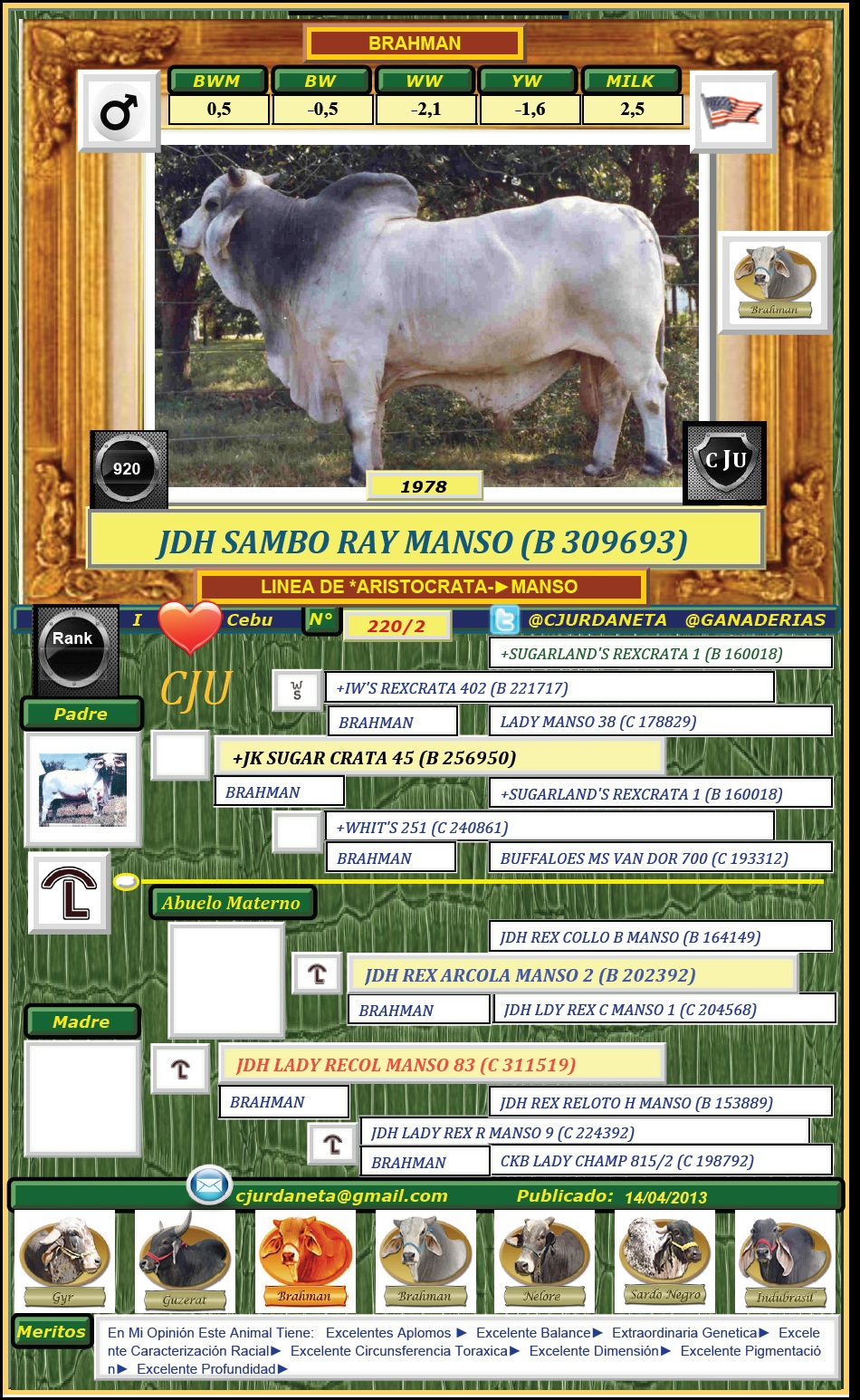 CEBÚ ♥ ♥ ♥ ZEBÚ♔♕♖♗♘ LA PASIÓN POR EL #CEBÚ #ZEBU: JDH SAMBO RAY MANSO ...