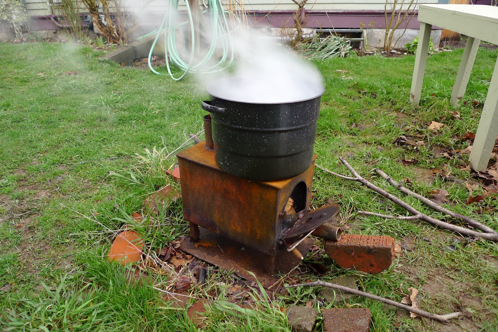 Wild Harvests: Pacific Rain Saltworks