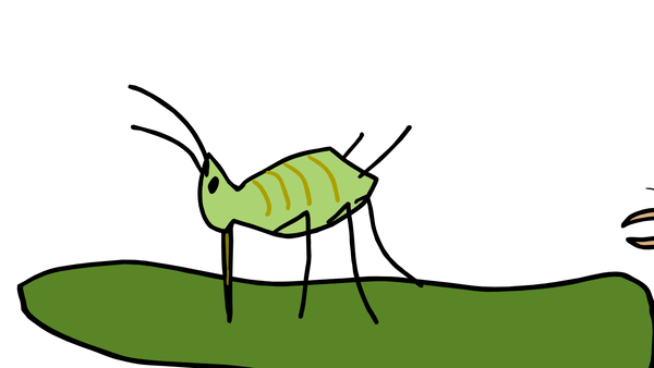 If it's green, it must be eco-friendly - California Naturalist Diaries