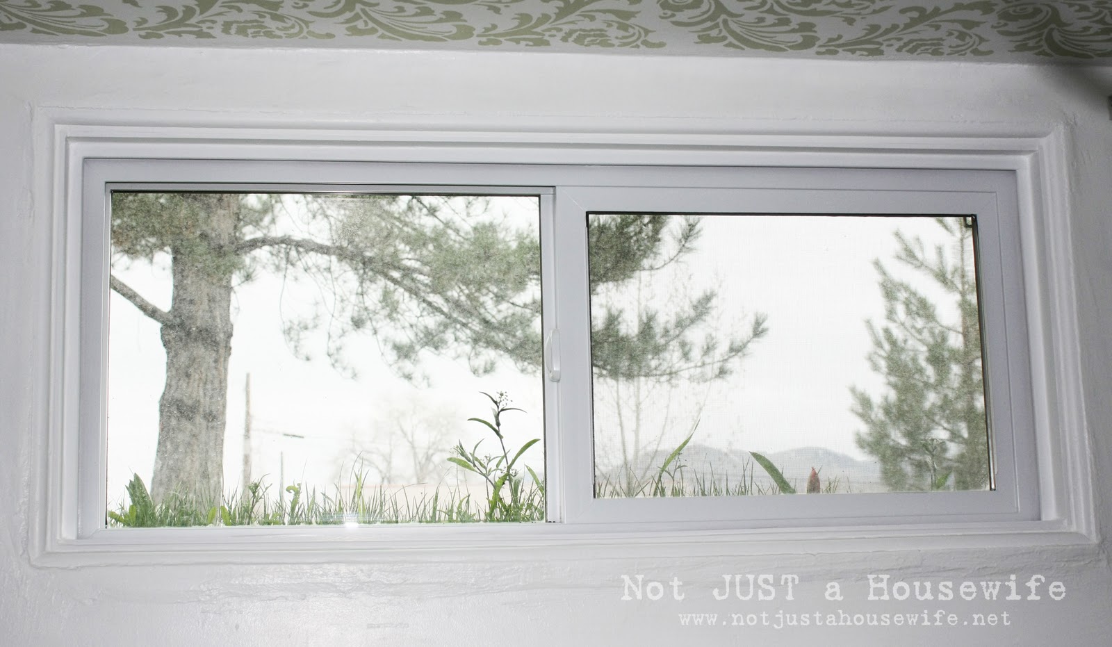 Fixing My Window Problem - Stacy Risenmay