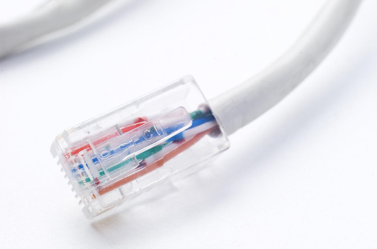 Common Cables Used In Computer ~ Tutorialtpoint Java Tutorial C Tutorial Dbms Tutorial