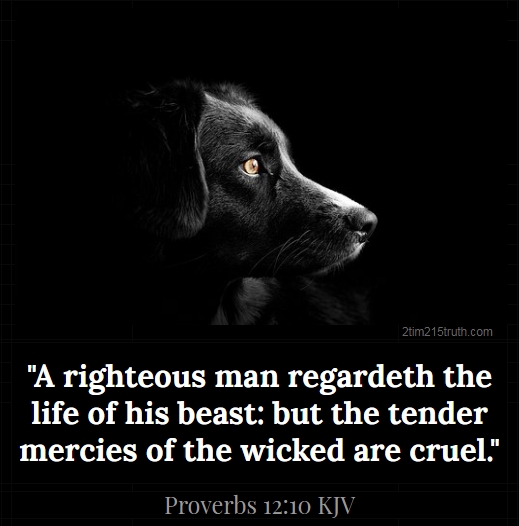 2 Timothy 2:15 Truth: Verse of the Day: Proverbs 12:10 KJV