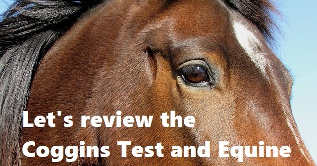The Mane Point: Let's review the Coggins Test and Equine Infectious Anemia.