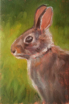 One Hundred Paintings / One Hundred Days: 223 Wild Rabbit