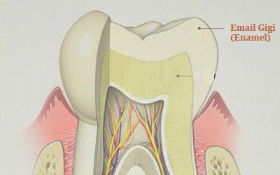 Pengertian Email Gigi (Enamel) ~ Tanya Gigi