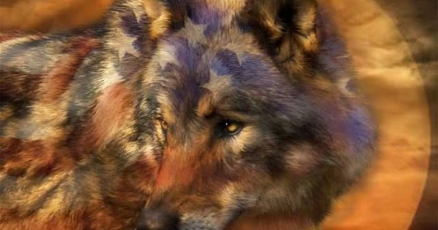 ShapeShifter Seduction: "Wolf?" Kassy blurted out... Summer of Her ...