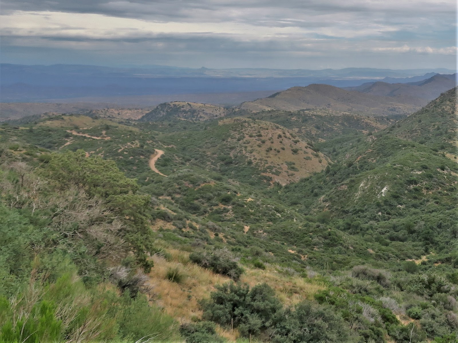 Living Rootless: Arizona: State Highway 77: South of Globe