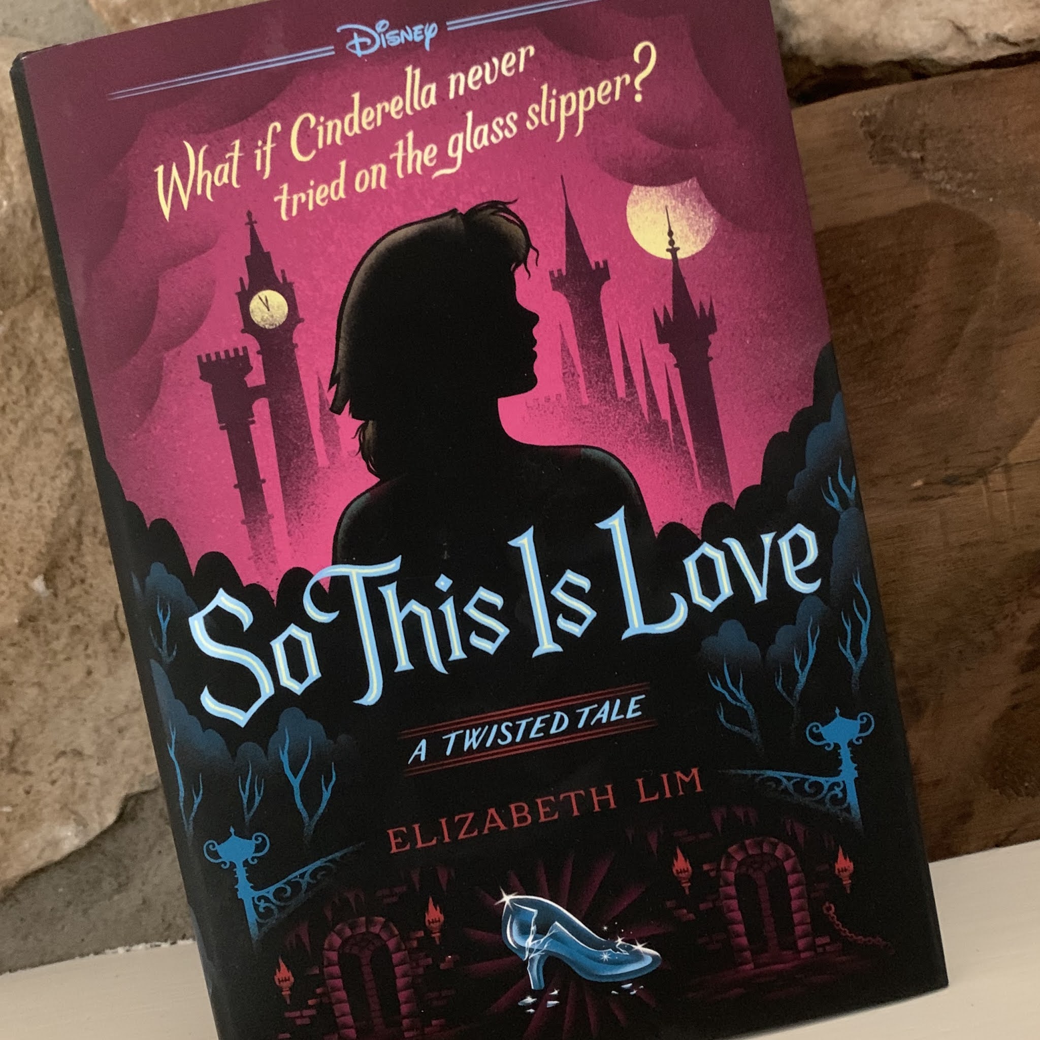 Picturing Disney: BEST DISNEY BOOKS OF 2020