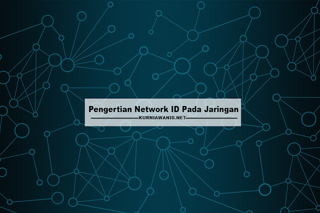 Pengertian, Fungsi dan Contoh Network ID pada Jaringan Komputer ...