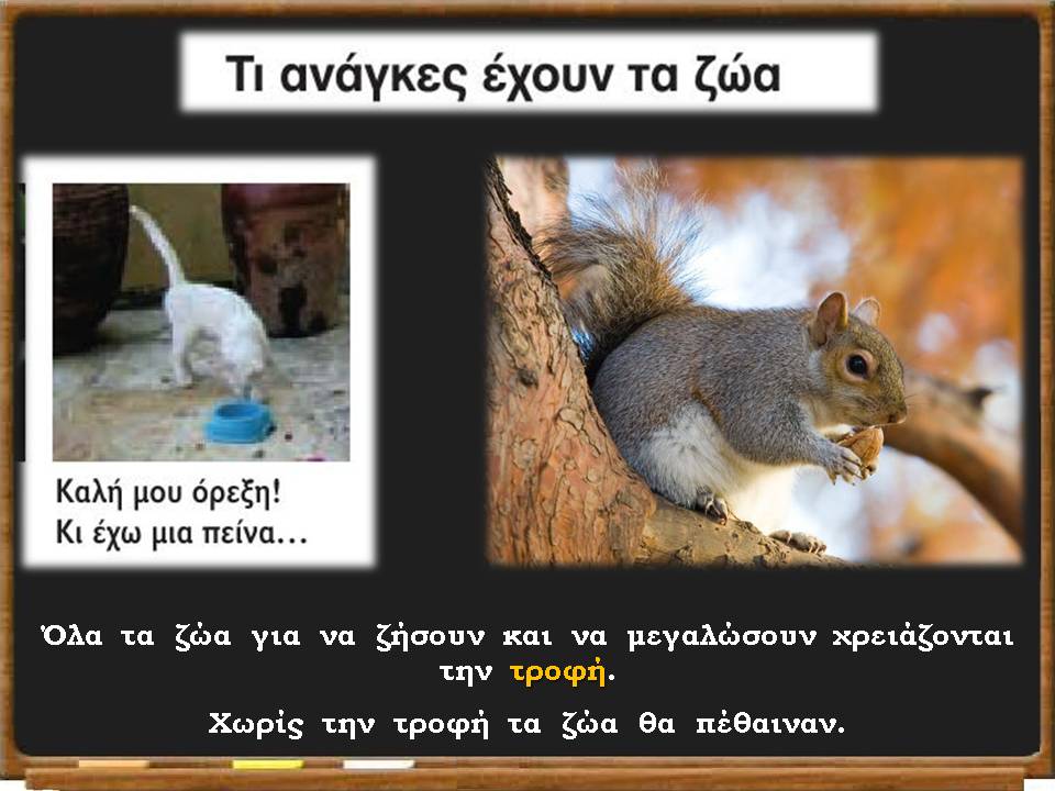 Παίζω και μαθαίνω: ΤΑ ΖΩΑ