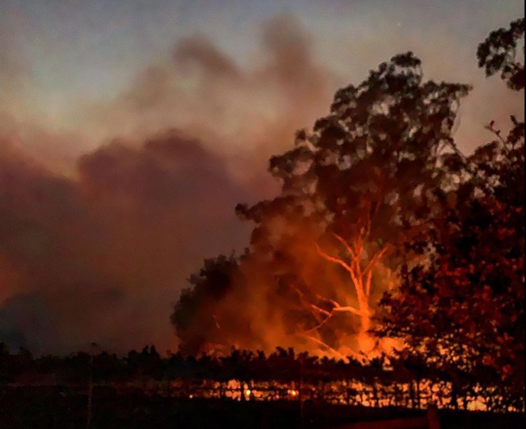 ON THE GRAPEVINE: 2019