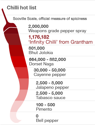 Birds Talking Too: Infinity Chilli