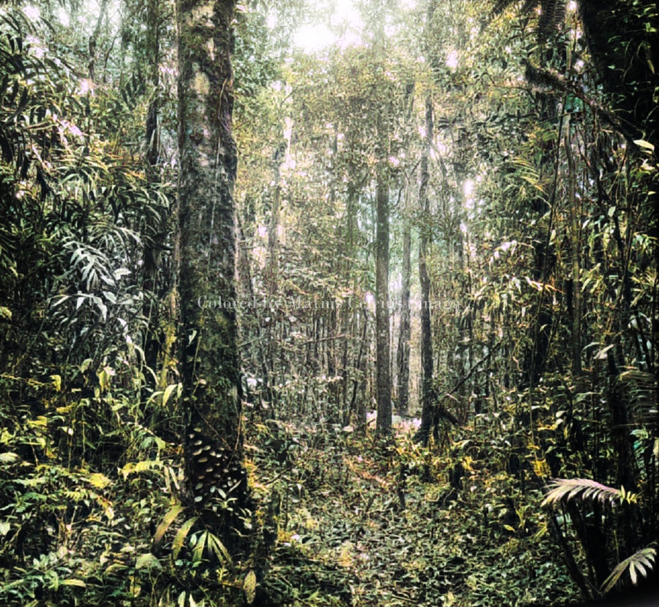 80+ Foto Tapanuli Sekitarnya dan Sejarah Tapanuli - Situs INFORMASI ...