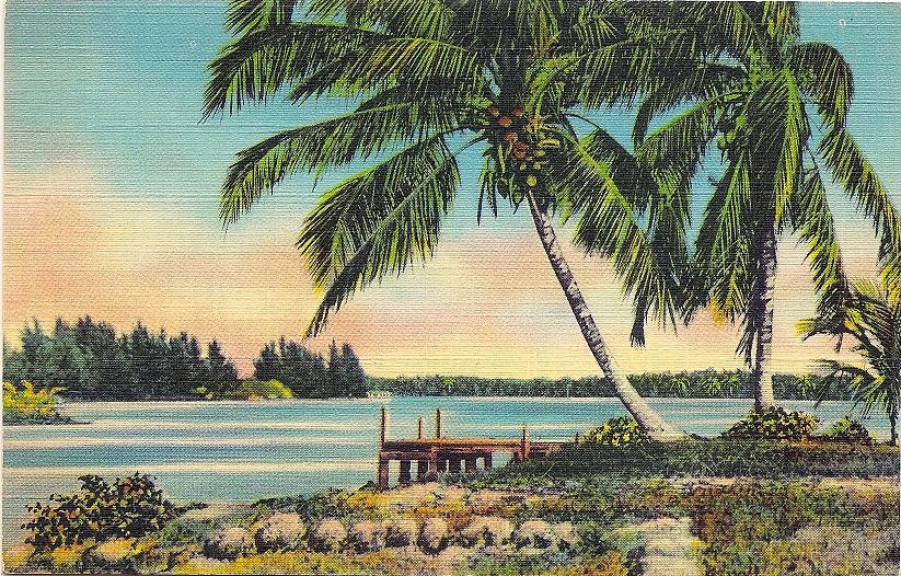 Miss You , Wish you were here . . .: TROPICAL POST CARD CLUB