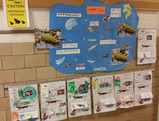 Read Aloud Literacy: Vernal Pool Learning, The Secret Pool with Rebekah ...