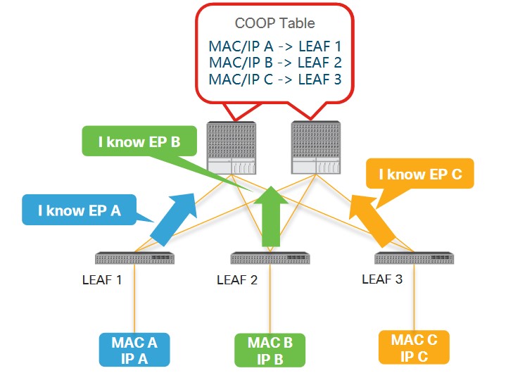Rayas, It is all about Networking & Security: ACI Endpoint Learning and ...
