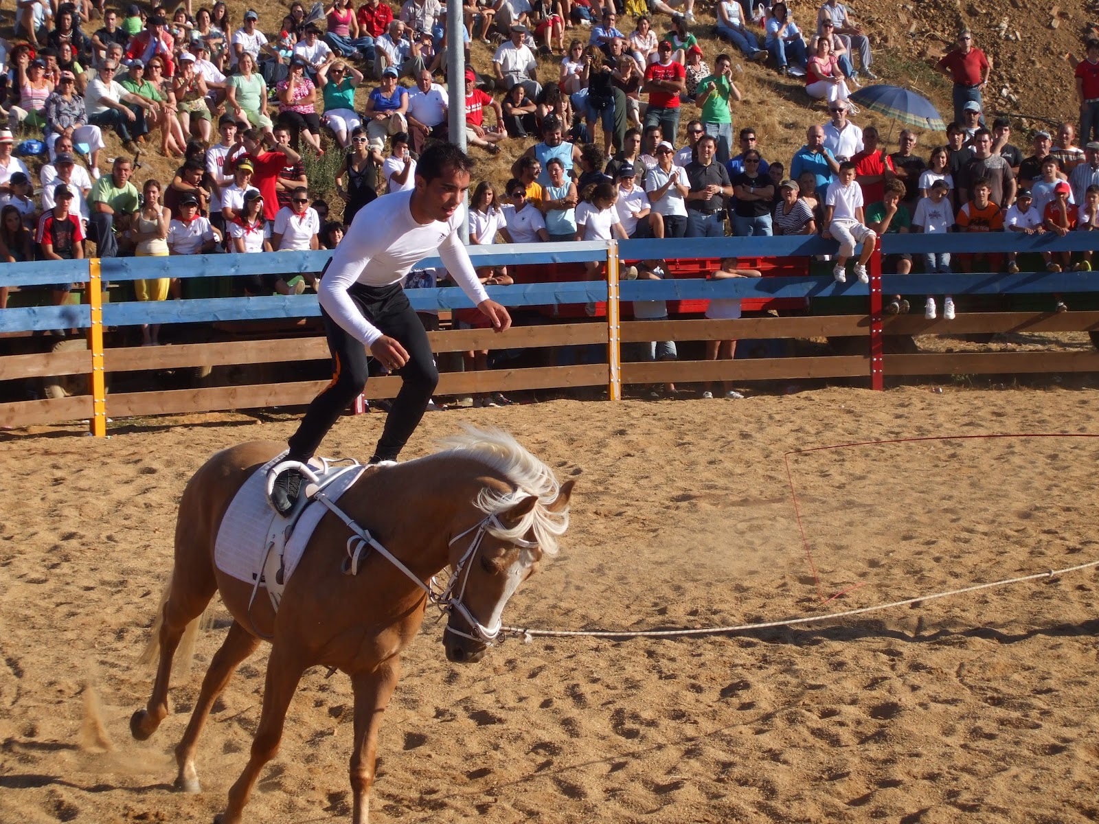 Blog Zuares Del Páramo (León): Esperctaculo de caballos Fiestas Zuares ...