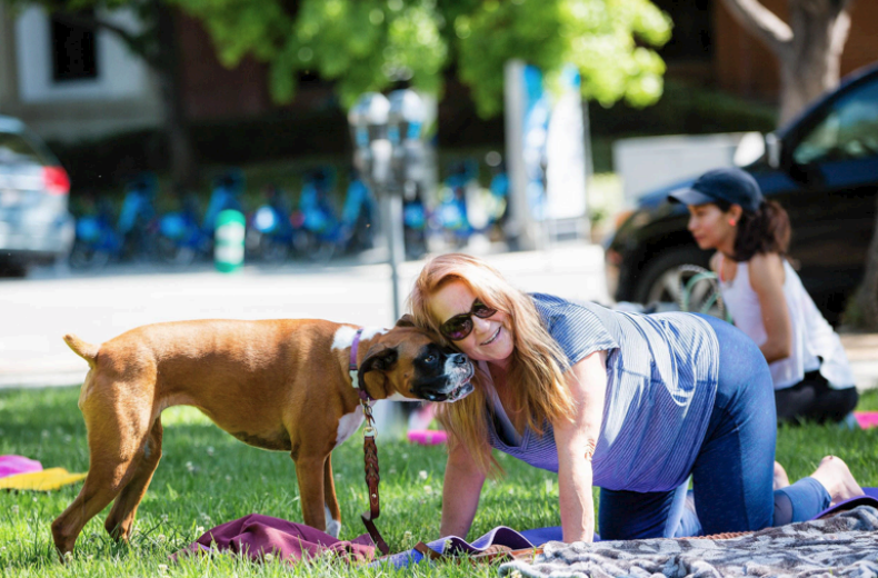 The San Jose Blog: Doga comes to St. James Park in July and August