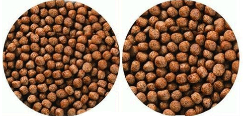 The superiorities of extruded feed - Agro Machinery World