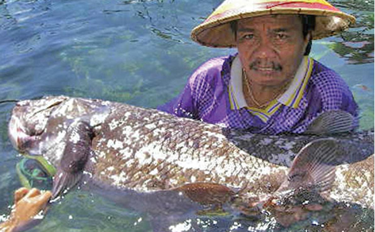 Coelacanth