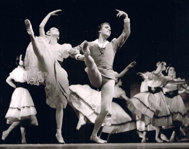 Dutch National Ballet: 47 Pictures That Capture Performing Dancers in ...