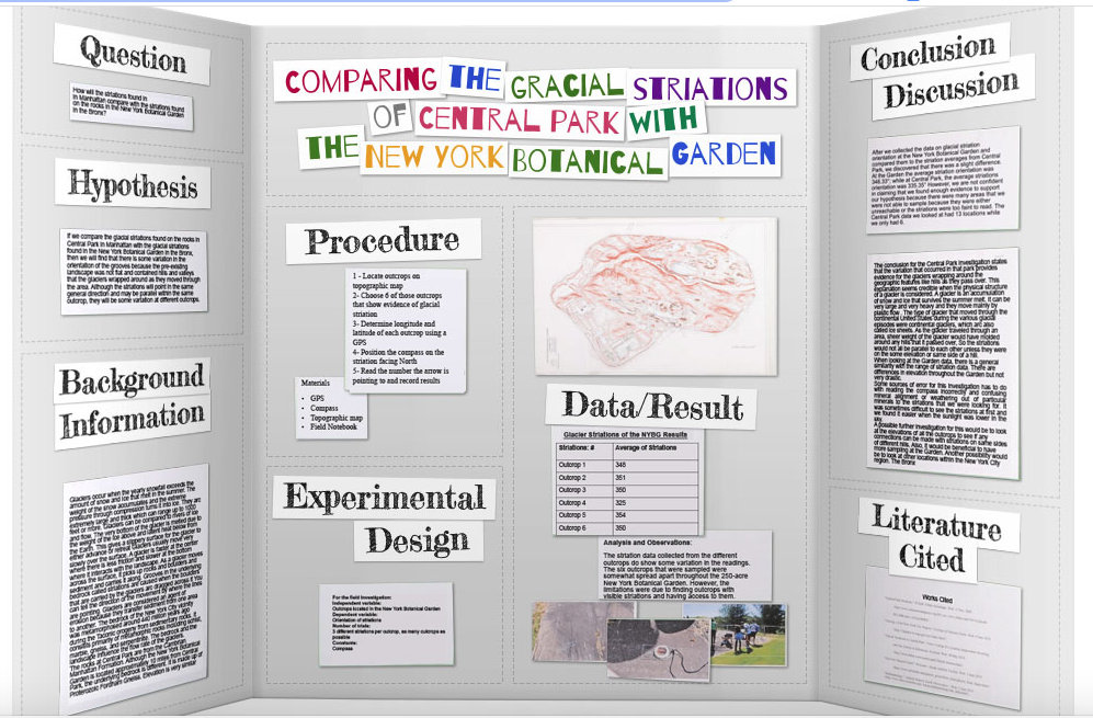 Mr. Villa's Science Stars!: Science Fair Project