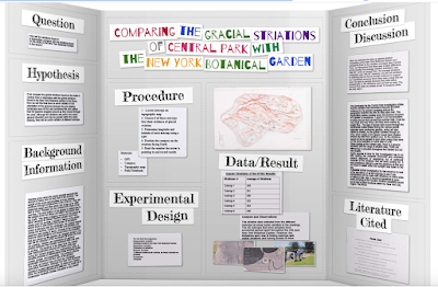 Mr. Villa's Science Stars!: Science Fair Project