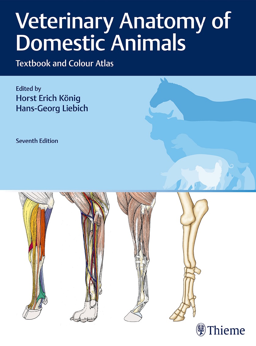 Veterinary Anatomy Of Domestic Animals Textbook And Colour Atlas 7th Veterinary Anatomy Of Domestic Animals Textbook And Colour Atlas 7th