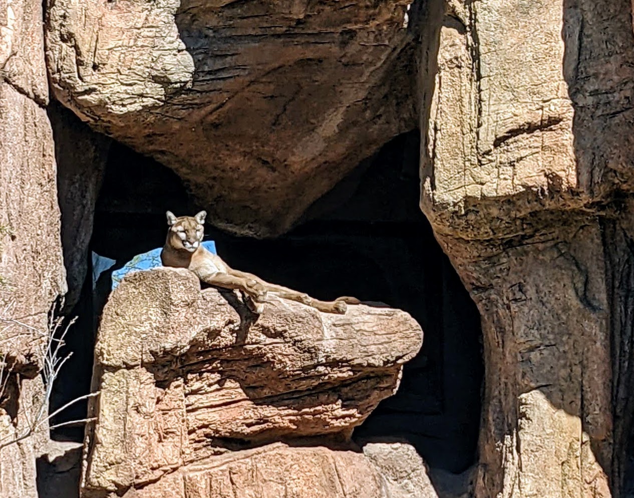 Arizona-Sonora Desert Museum