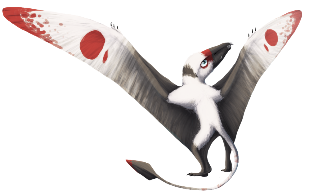 Blog de la Vida Prehistórica: Los primeros Pterosaurios