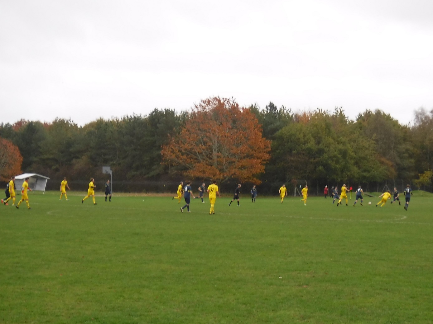 Boxted Lodgers v Belle Vue Social Club