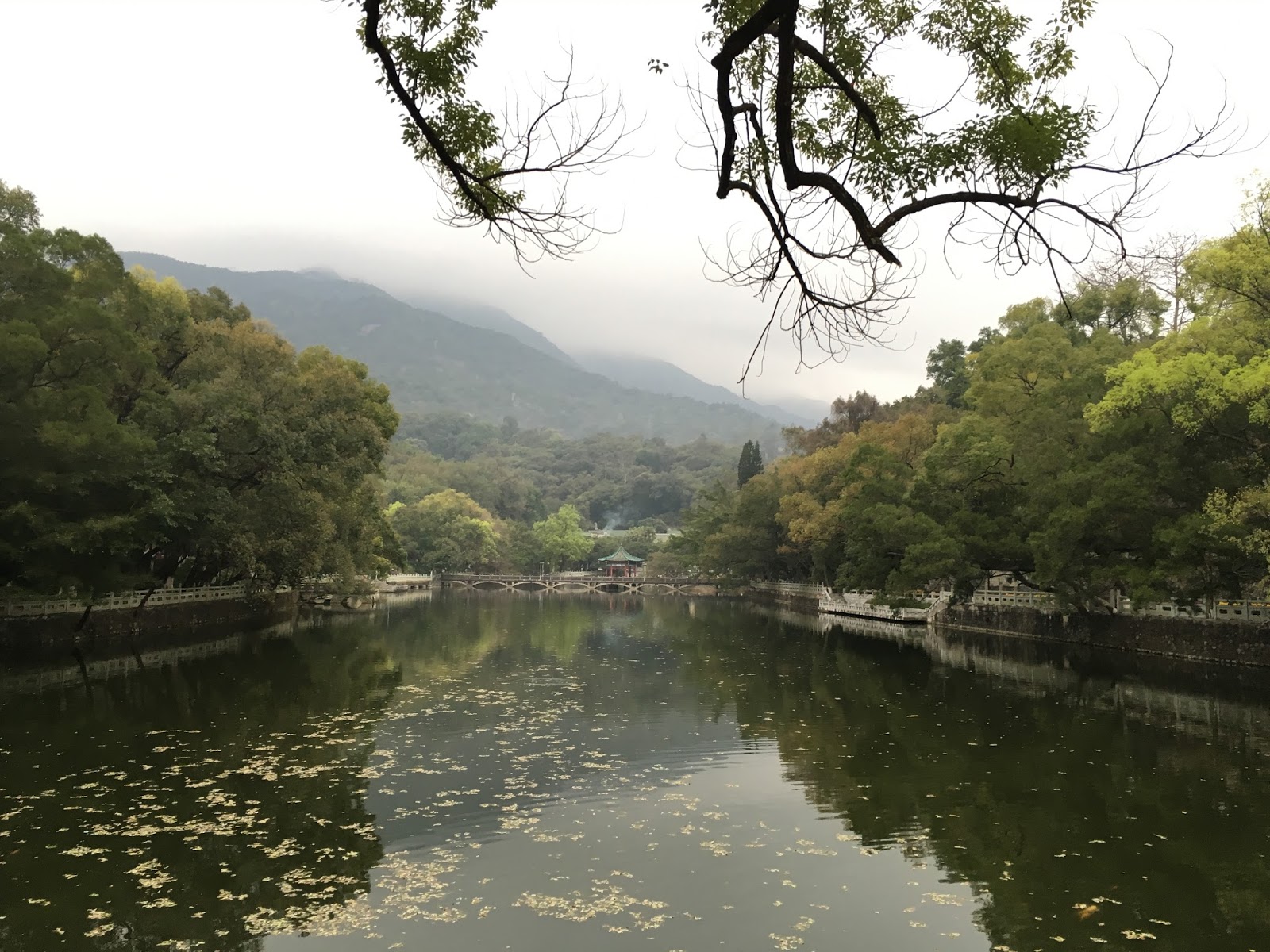 As The Crow Flies - a Hong Kong Birding Blog: The Epic Walk - Luo Fu Shan