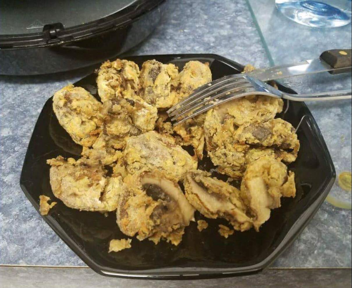 Alkaline Electric Mock Chicken