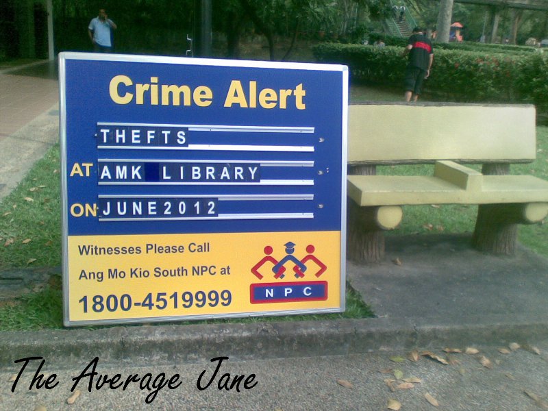 The Average Jane: Crime Alert Signs: A Way of Combatting Misdemeanors ...