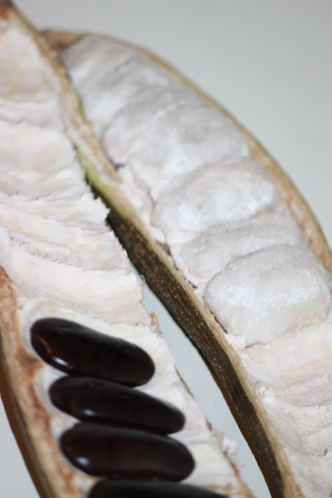 Guama. Colombia | Fruit of Latin america | Pinterest