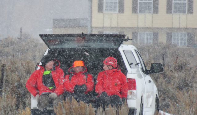 Kathryn's Report: Cessna 525 CitationJet CJ1, N711BX: Fatal accident ...